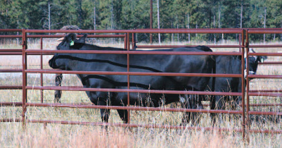 HiQual Panels | Sioux Steel Company