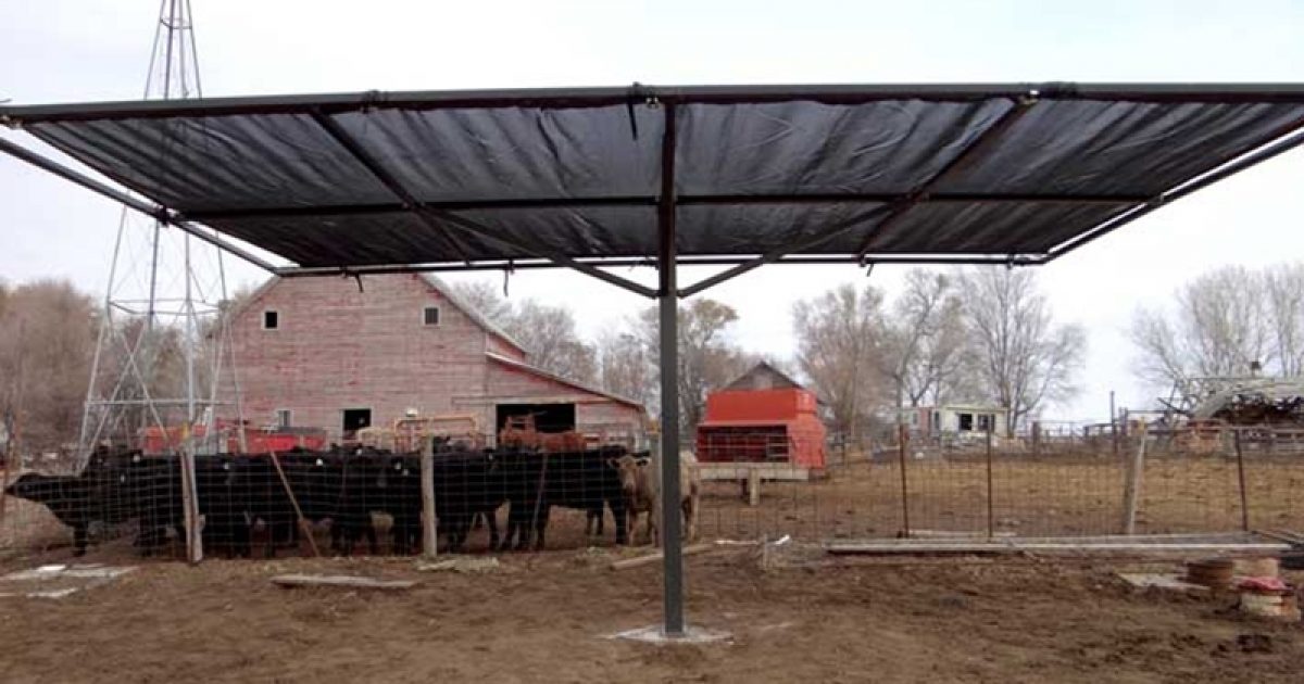 Livestock Shade | Sioux Steel Company