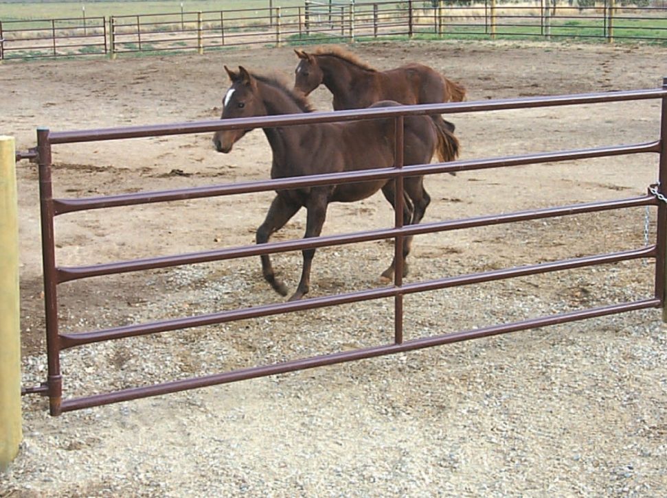 2.0" Heavy Duty Gate | Sioux Steel Company