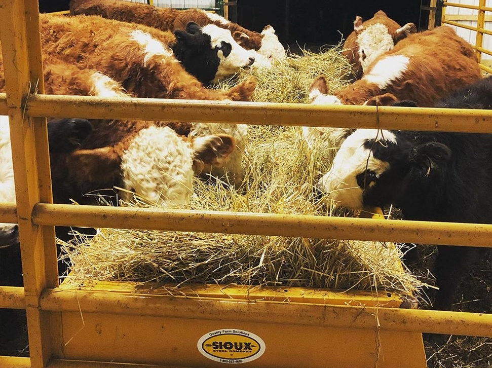 10' Bunk Feeder | Sioux Steel Company